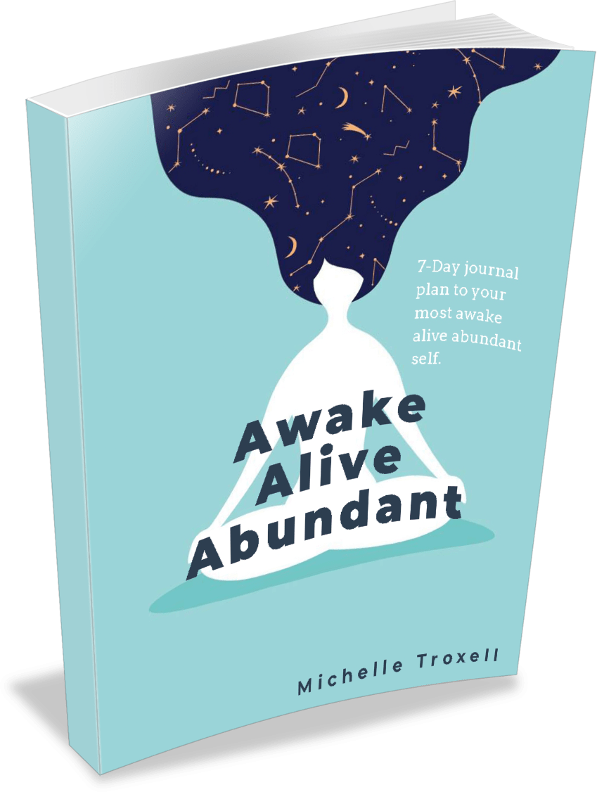 7-day Journal plan – michelletroxell.com